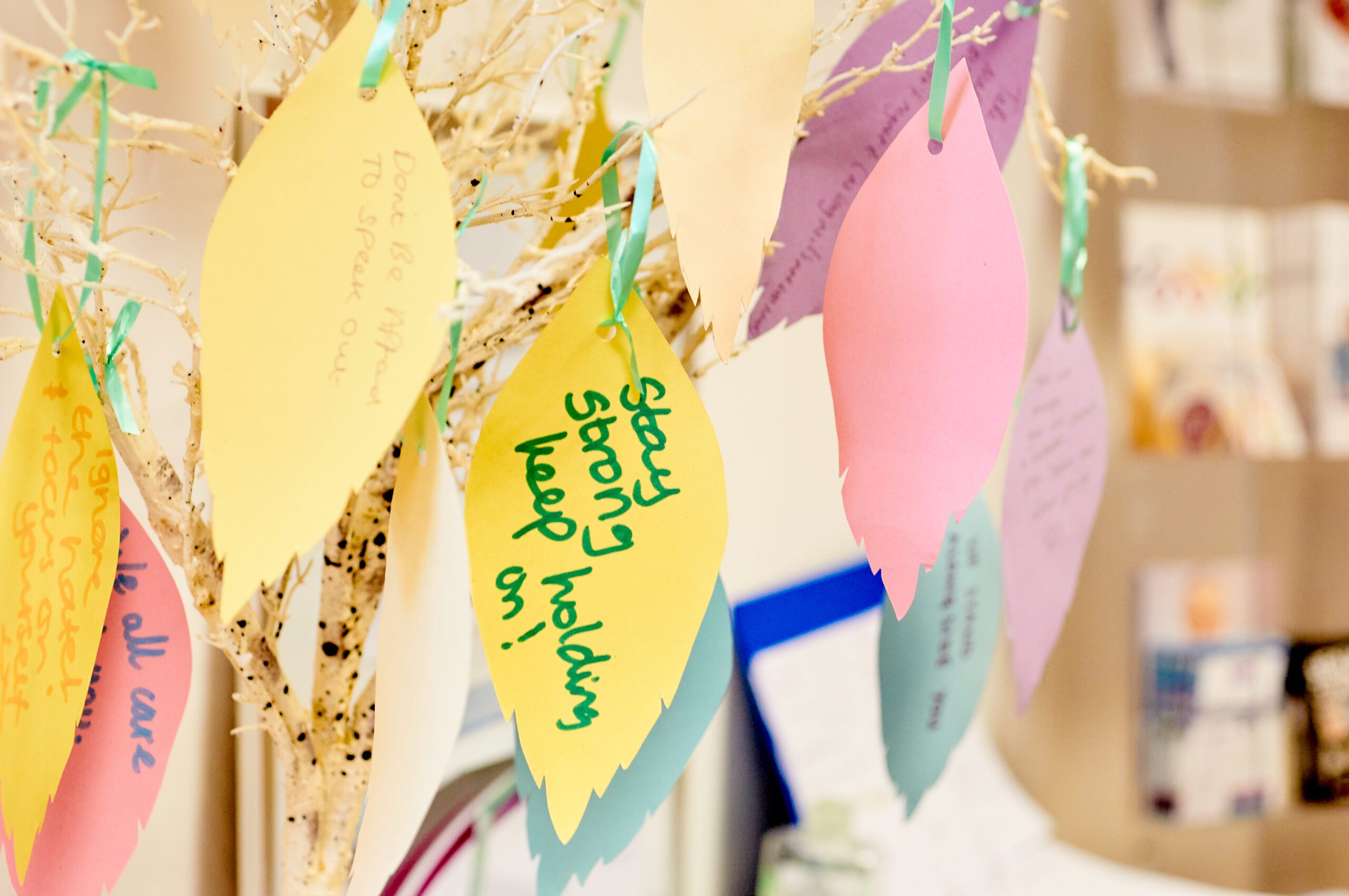 Rape, sexual assault and self-swab kits